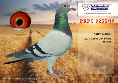 Lot 28 Prpc 9255 19 Lot 28 Banie And John Prpc 9255 2019 Name Color