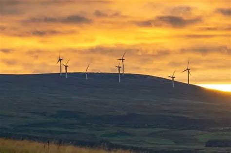 7 Different Types Of Renewable Energy