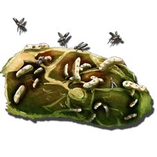 Meat Spoiler Screenshots Ark Survival Ascended Mods CurseForge