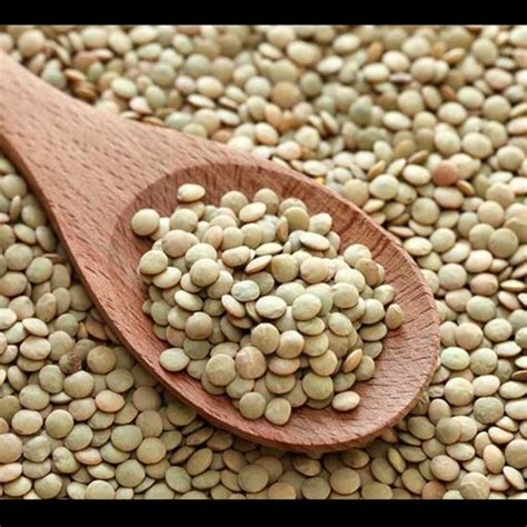 خرید و قیمت عدس دانه درشت بسته 800 گرمی محصولات زرینه از غرفه پروتئین