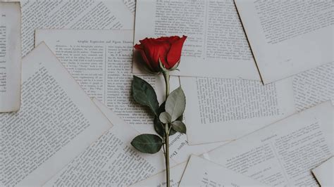 Book Laptop Wallpapers 4k Hd Book Laptop Backgrounds On Wallpaperbat