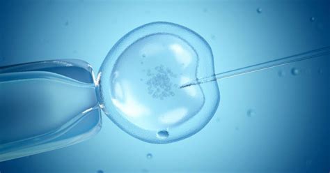 Dons d ovocytes bientôt une compensation en nature pour les donneuses en France Terrafemina