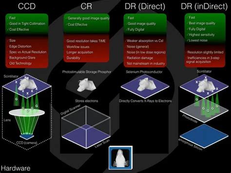 Modern Digital Radiography Technology Comparison Antech Diagnostics
