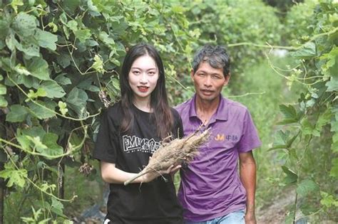 羊城晚报 高明合水粉葛尝尝属于秋日的粉甜