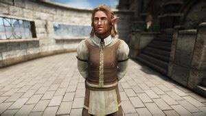 Common Clothing Expansion Mods Modbooru