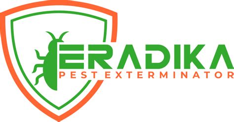 Pamatay Anay Sa Kahoy Mga Mabisang Paraan Eradika Pest Exterminator