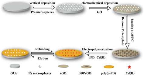 Sensors Free Full Text An Electrochemical Sensor Based On Three Dimensional Porous Reduced