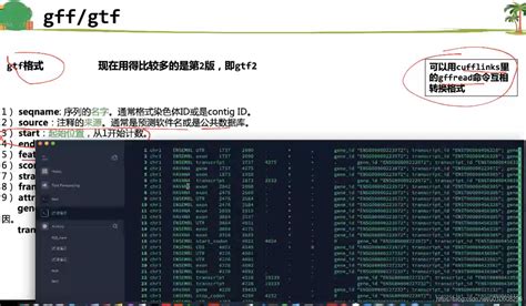 生物信息学常见数据格式 • Fasta • Fastq • Gffgtf生物信息学序列格式 Csdn博客