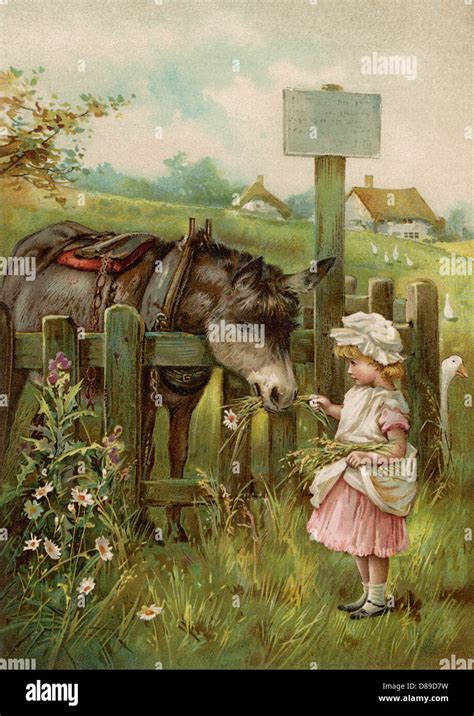 Kinder Esel Zaun Fotos Und Bildmaterial In Hoher Auflösung Alamy