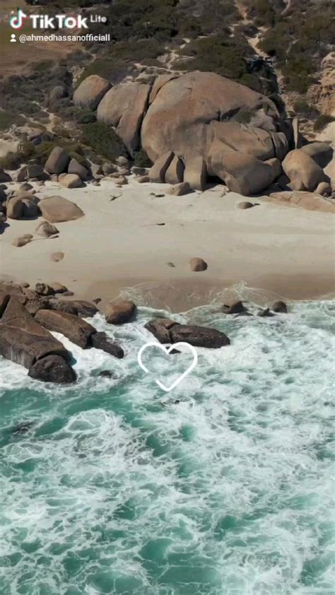 فَلَا يَحْزُنكَ قَوْلُهُمْ ۘ إِنَّا نَعْلَمُ مَا يُسِرُّونَ وَمَا يُعْلِنُونَ﴾ [ يس 76]