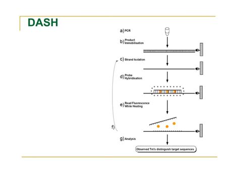 Snp Genotyping Technologies Pdf