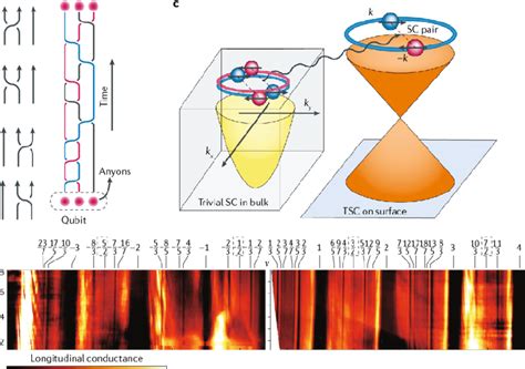 Topological Qubit Representation Download Scientific Diagram