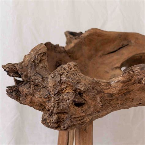 Teak Root Decor Piece Harry And Kit