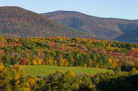 Berkshire Shenanigans Added A New Berkshire Shenanigans