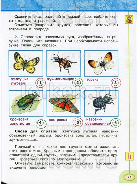 Рабочая тетрадь по окружающему миру 3 класс с ответами 1 часть ГДЗ окружающий мир рабочая