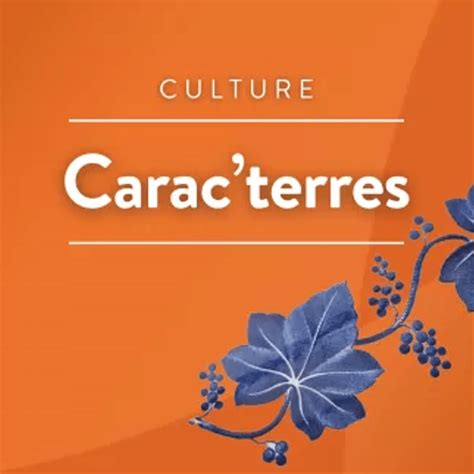 Les Grottes De Gargas Avec Nicolas Ferrer ECHOSCIENCES Occitanie