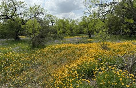 Best Hikes And Trails In South Llano River State Park Alltrails