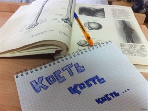 И шла четвертая пара анатомии :3 | Пикабу