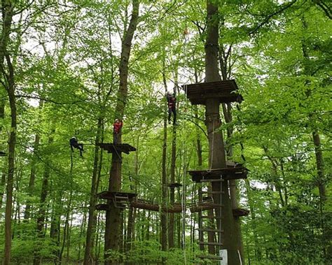 The 15 Best Germany Zipline And Aerial Adventure Parks 2026