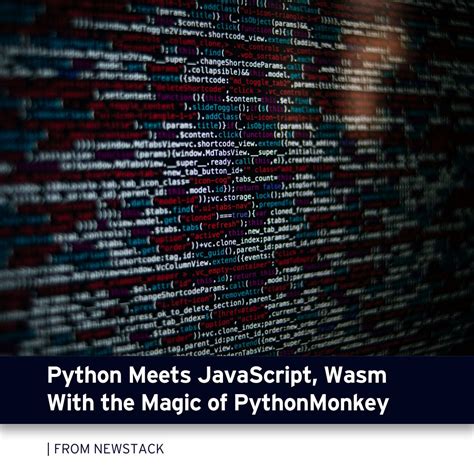 Vertex Agility On Linkedin Python Meets Javascript Wasm With The
