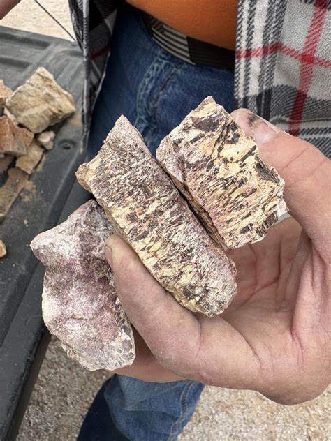 Feather River Lapidary And Mineral Society Nv Roads Department Cut The