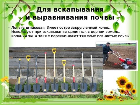 Презентация "Инструменты и инвентарь садовода". Область знаний: труд ...