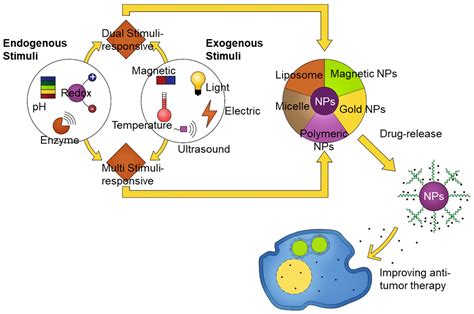 Stimuli Responsive Nanomaterials For Application In Antitumor Therapy And Drug Delivery
