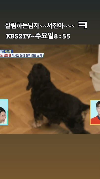 박서진 살림남 요리중 현실여동생 폭풍잔소리 날으는발 남매의웃음케미 Youtube