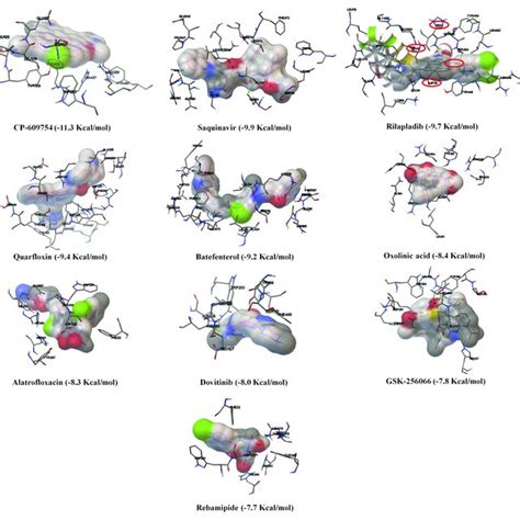 The Binding Patterns And Aminoacid Interactions Of The Best Scoring