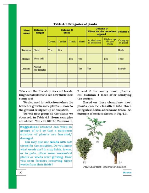 NCERT Book Class 6 Science Chapter 4 Getting To Know Plants PDF AglaSem