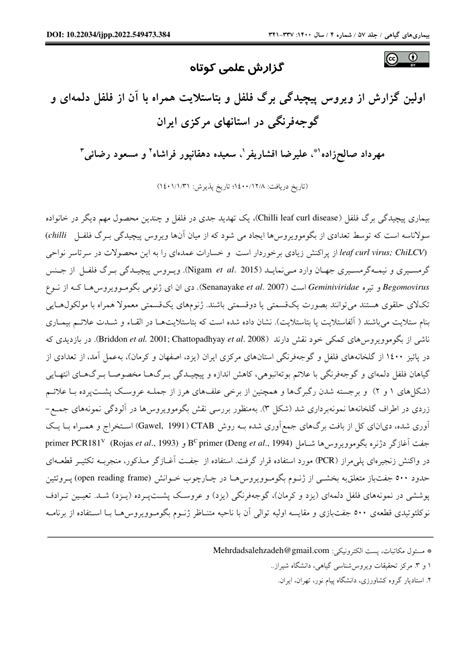 Pdf The First Report Of The Chilli Leaf Curl Virus And Its Associated
