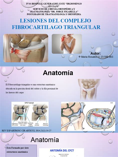 Fibrocartilago Triangular Diapos Descargar Gratis Pdf Extremidades