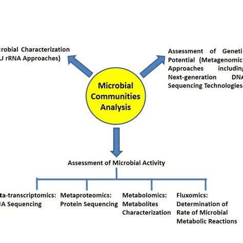 Pdf Applications Of Metagenomics In Microbial Bioremediation Of