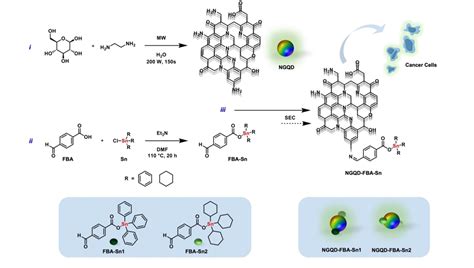 Organotiniv Decorated Graphene Quantum Dots As Dual Platform For