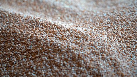 Molino Dallagiovanna - Flours, key players in the kitchen - Italyexport