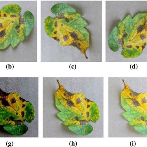 Schematic Of The Yolov4 Network Architecture Consisting Of Cspdarknet53 Download Scientific