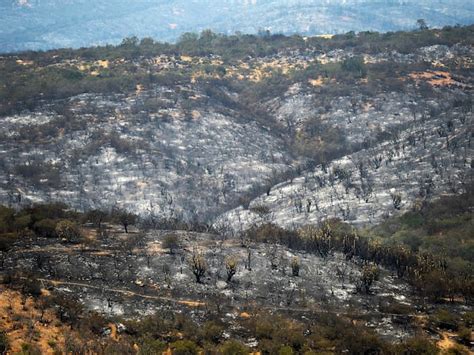 Onemi Canceló La Alerta Roja Por Incendios Forestales En La Región De