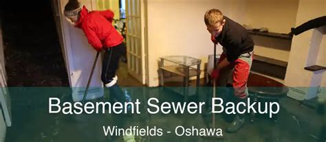 Basement Sewer Backup Windfields Oshawa Basement Sewer Drain Inspection