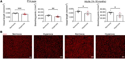 Neurovascular Uncoupling Within The Cortex Of Hyperoxia Exposed Mice