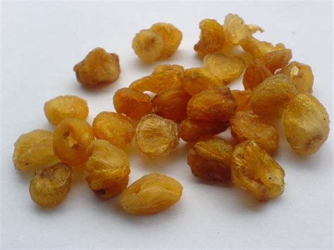 Long Gui Fruit