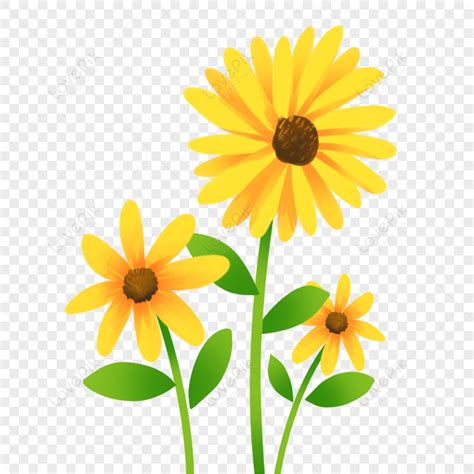 노란 꽃 Png 일러스트 무료 다운로드 Lovepik