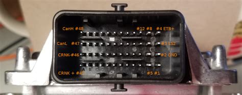 Hardware MicroRusEFI Wiring Rusefi Rusefi Wiki GitHub