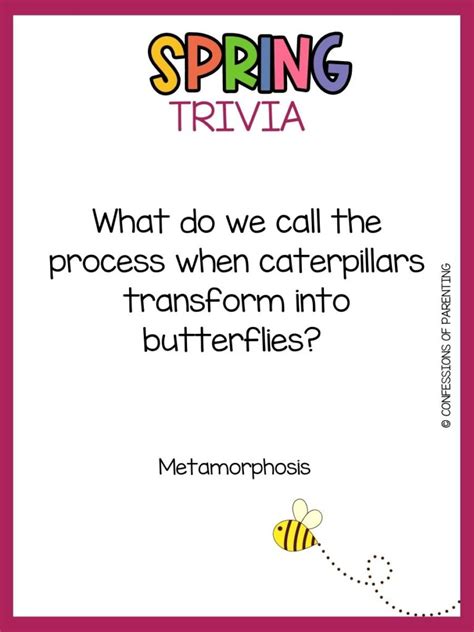Best Spring Trivia Questions And Answers