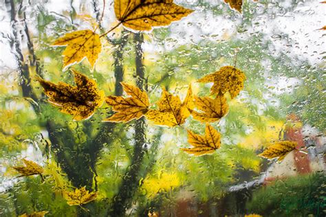 Photography 3 By Cydnee B On Deviantart