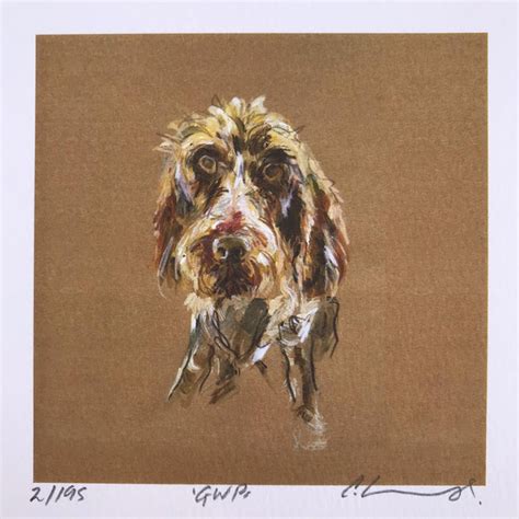 German Wire Haired Pointer Christine Cummings