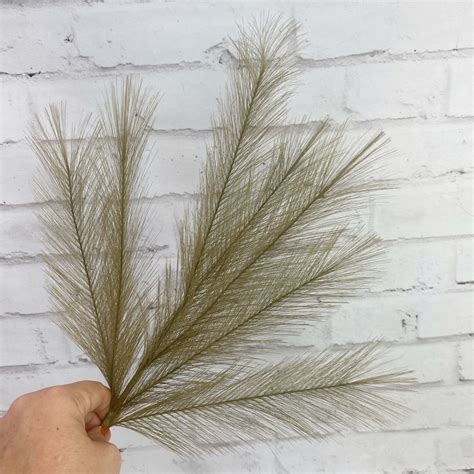 Green Pampas Grass Pick Keleas Florals