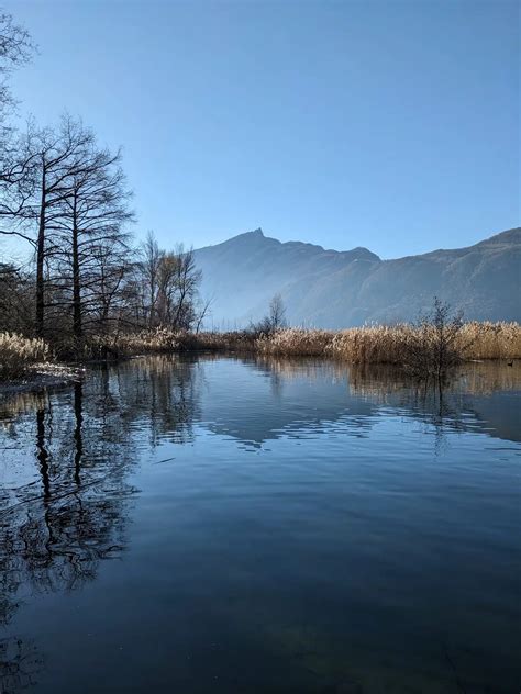 Lac Du Bourget Gocarp
