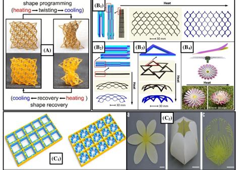 A Shape Memory Behavior Of 3d Printed Photo Curable Metamaterials