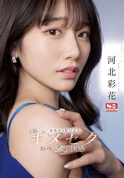 Ssis 762 探点库