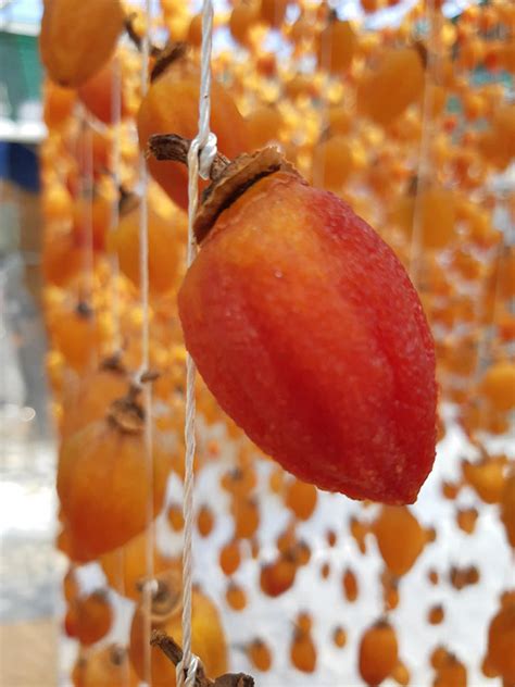 Hồng Sấy Gió Hộp 500 Gram Long Đỉnh